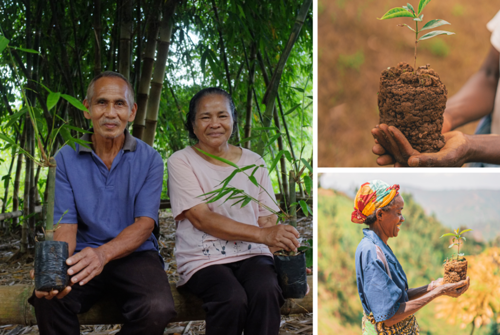 One Tree Planted - Saint Cult