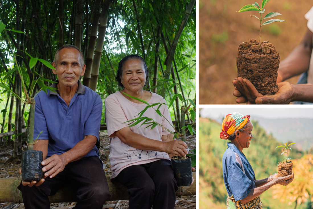 One Tree Planted - Saint Cult